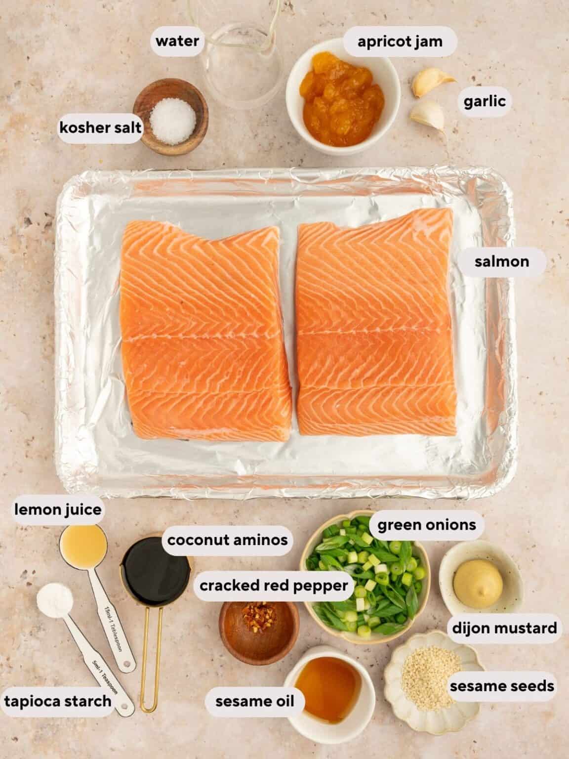 Apricot Glazed Salmon — Foodborne Wellness